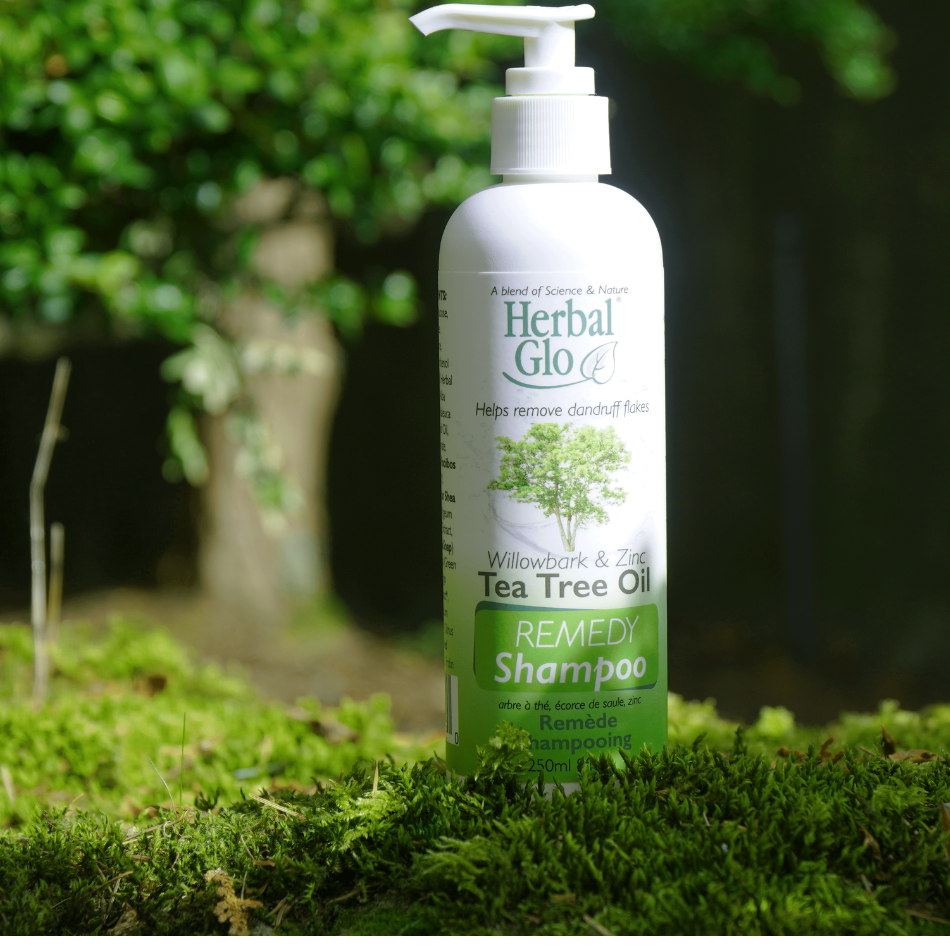 Tea Tree Oil Remedy Shampoo – Herbal Glo Hair and Skin care